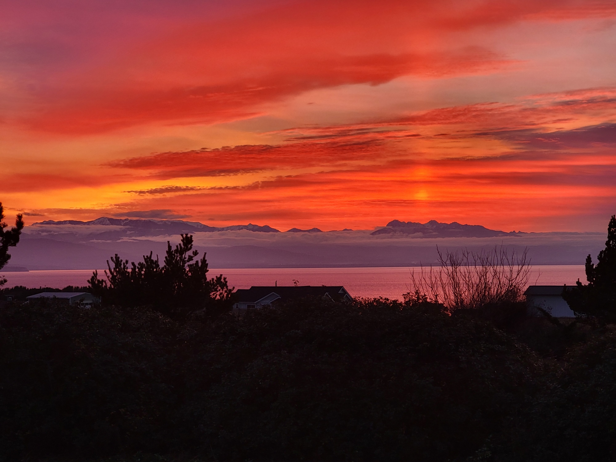Western Sun Lavender Farm – We are a u-pick and whole lavender farm ...